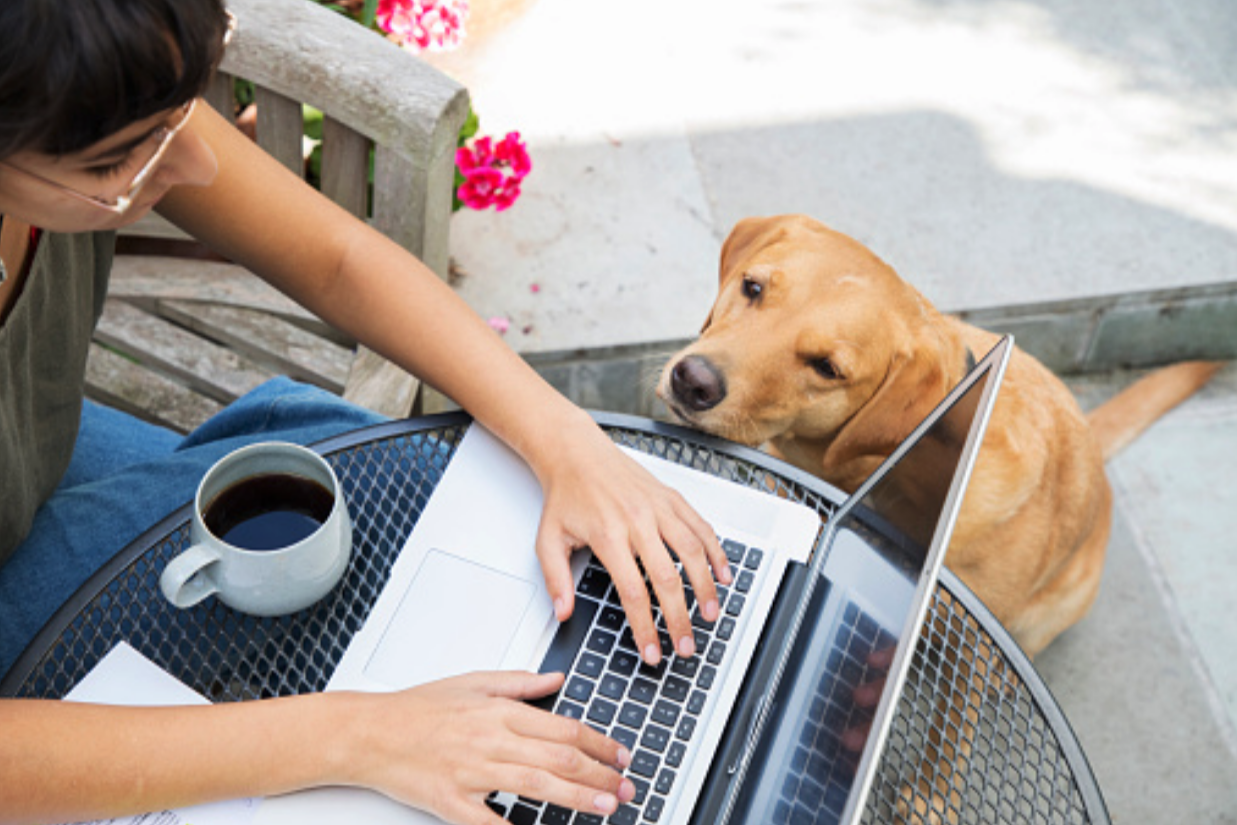 Why can’t I work at home? - Institute Of Respect